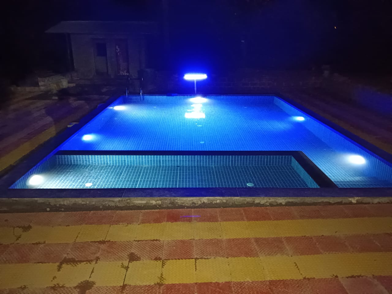 Gallery – Nature Nine